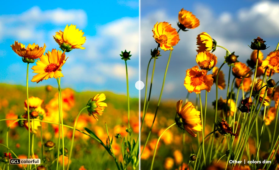 All In One LED Display Pro Lynnhan